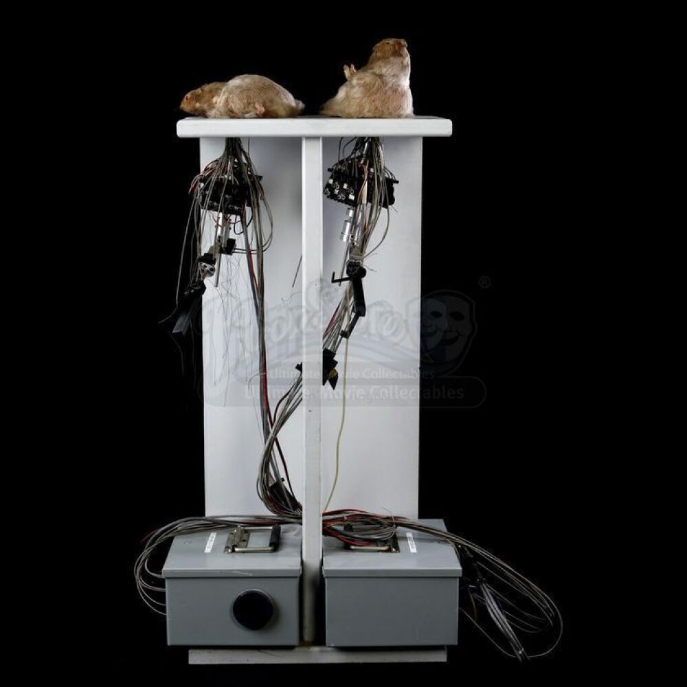 THE NUTTY PROFESSOR 2: THE KLUMPS (2000) - Animatronic Shelley Hamster ...