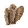Plaster Volturi Buzzard Statue
