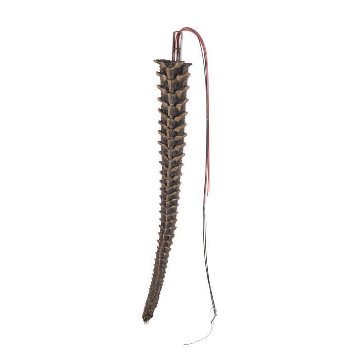 Lot #4: ALIENS (1986) - Animatronic Cable-controlled Xenomorph Tail