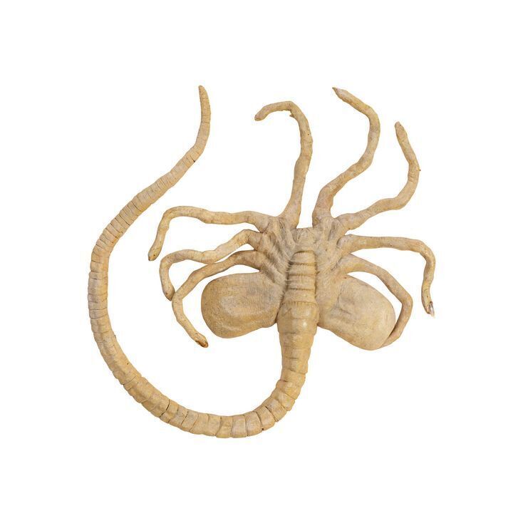 Lot # 13: ALIENS (1986) - Facehugger Puppet