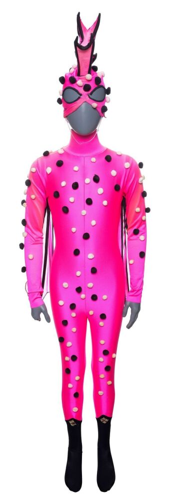 972. Holographic Circus Performer's Pink Costume with Headpiece ### THE ...